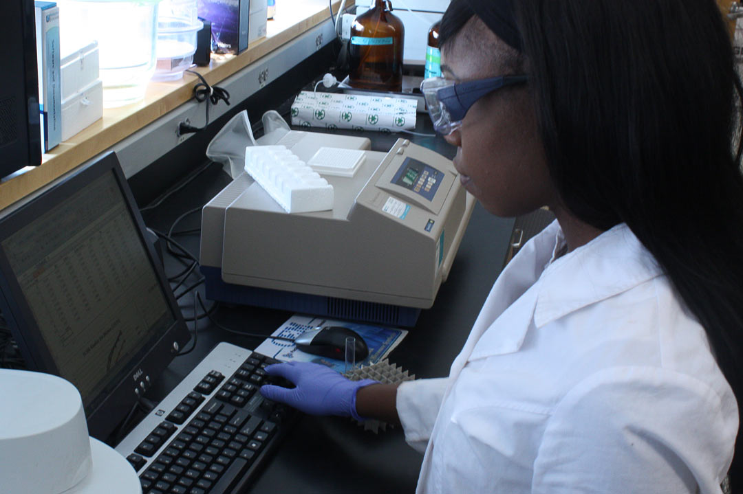 Researching summer at Rowan | Rowan Today | Rowan University