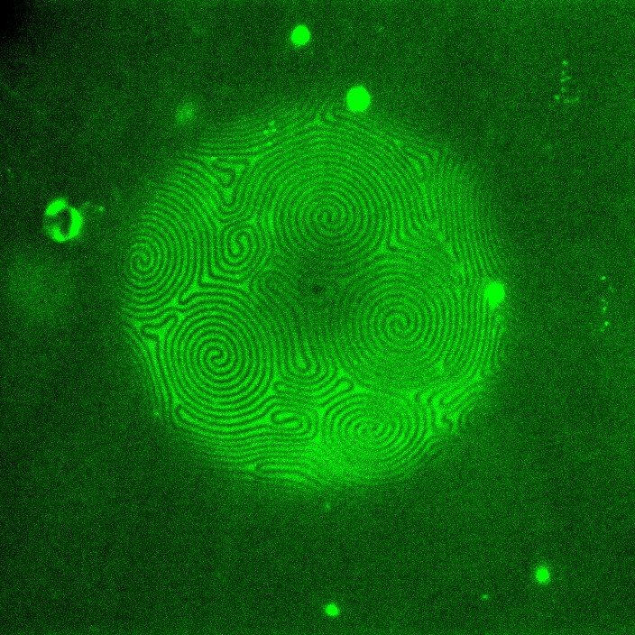Rowan engineering collaboration shapes nanoparticle fingerprints for ...